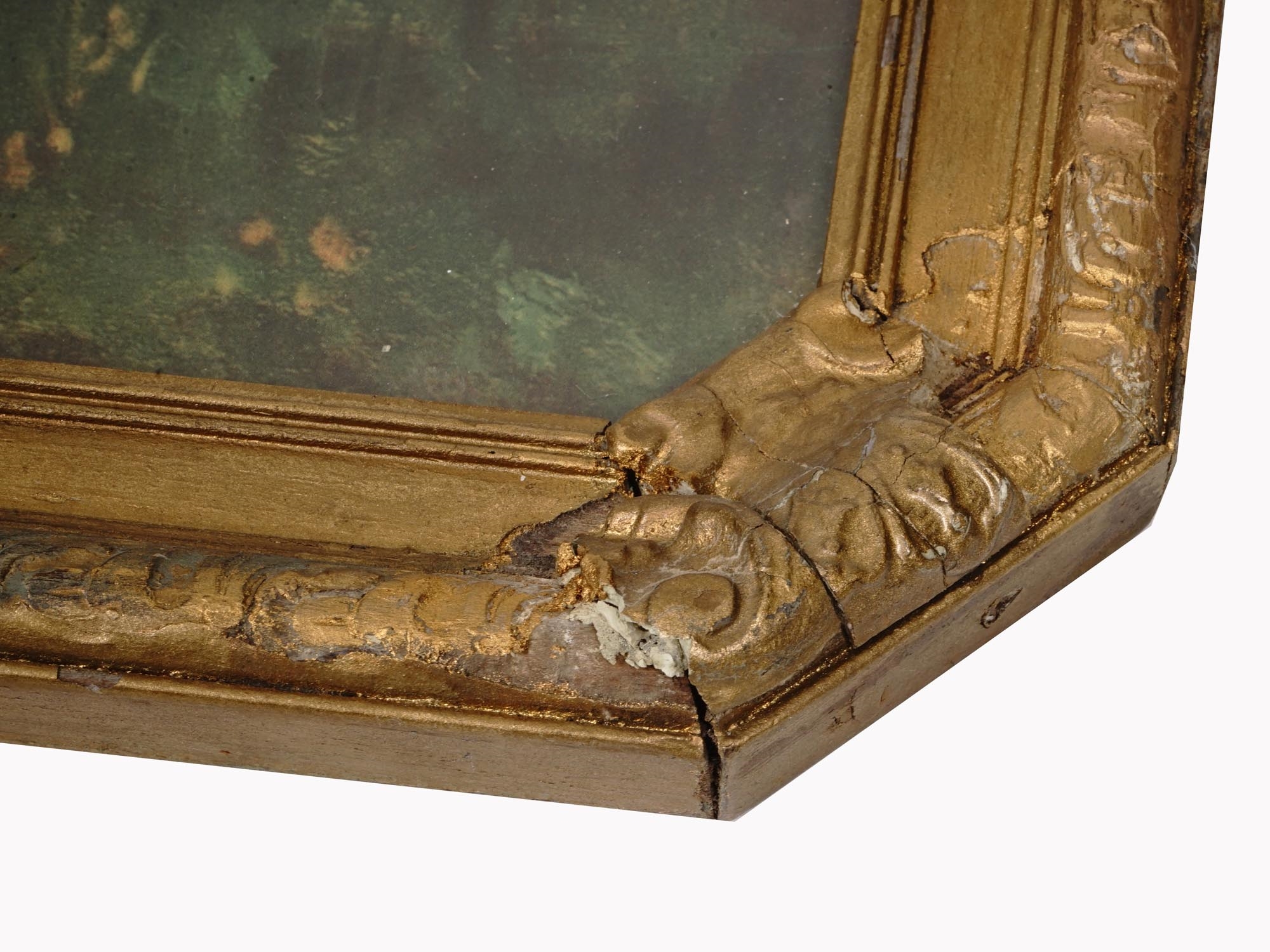 Robert Atkinson Fox | an American Canadian illustrator and naturalist ...