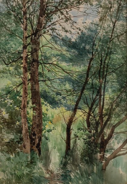 Auguste Allonge | View of the forest through the birch trees | MutualArt