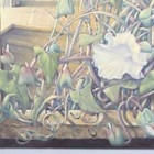 Robert Charles Howe | Bellbine | MutualArt