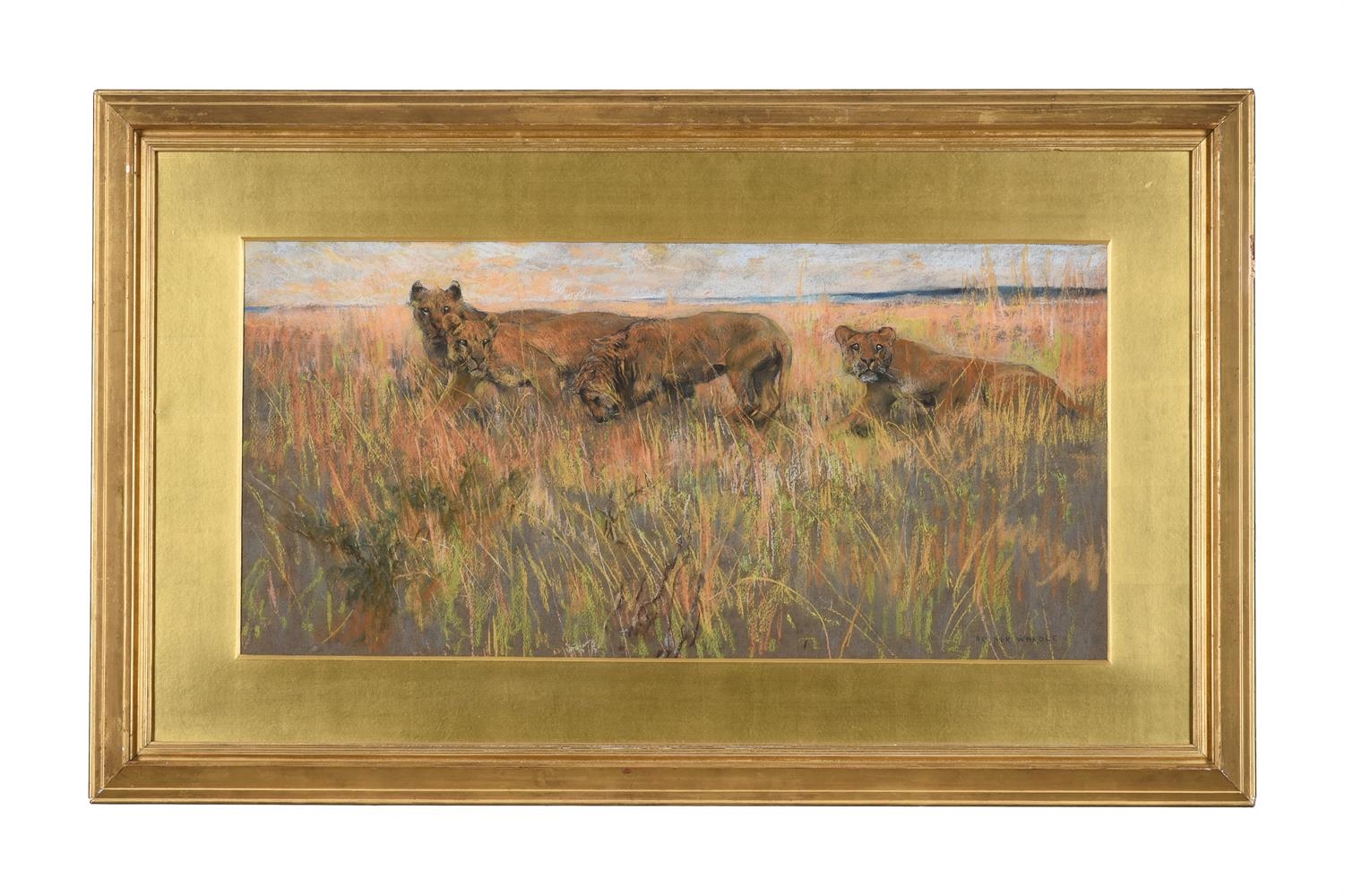 Arthur Wardle | A PRIDE OF LIONS | MutualArt