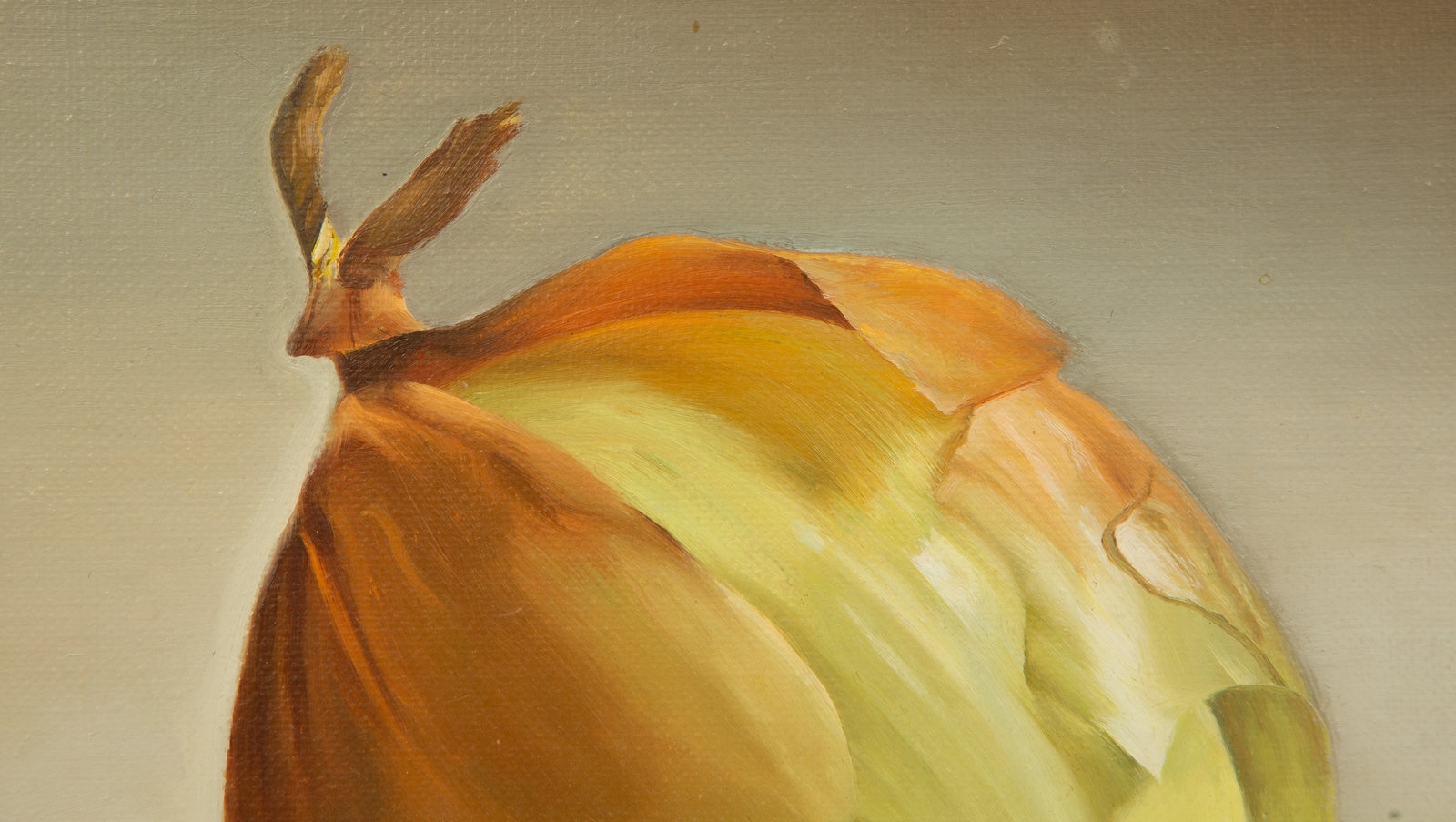 Scott Urness | Onion | MutualArt