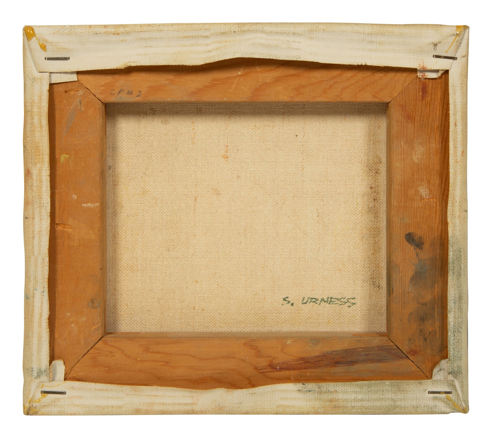 Scott Urness | Onion | MutualArt