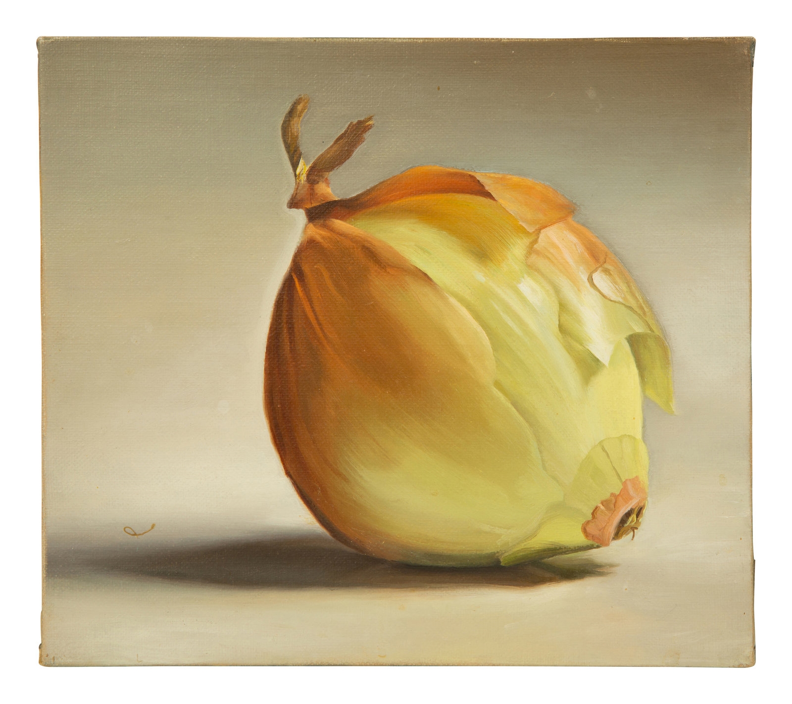 Scott Urness | Onion | MutualArt