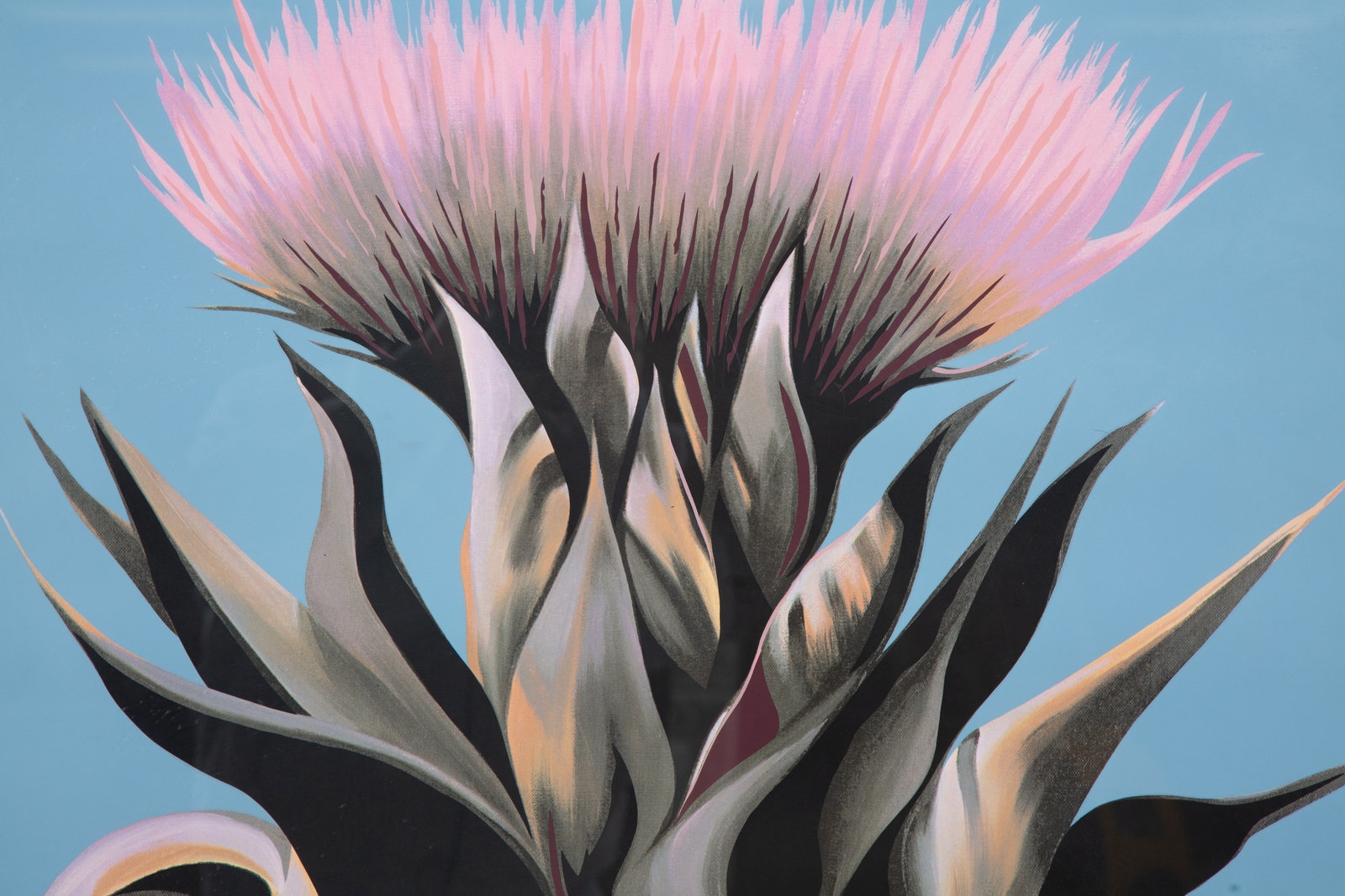 Lowell Nesbitt | Untitled (Flower) | MutualArt