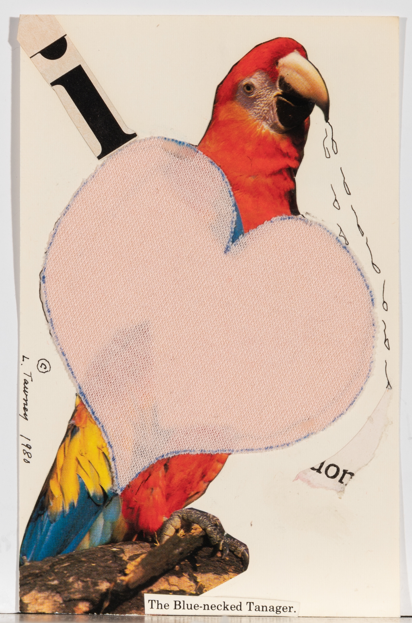 Lenore Tawney | Untitled (1964) | MutualArt