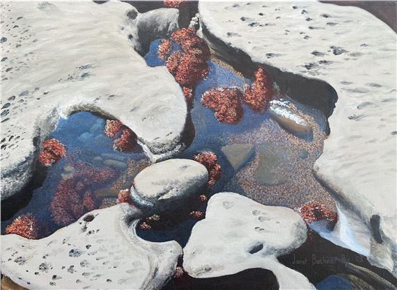 Janet Bothner-By | Rock Pool III | MutualArt