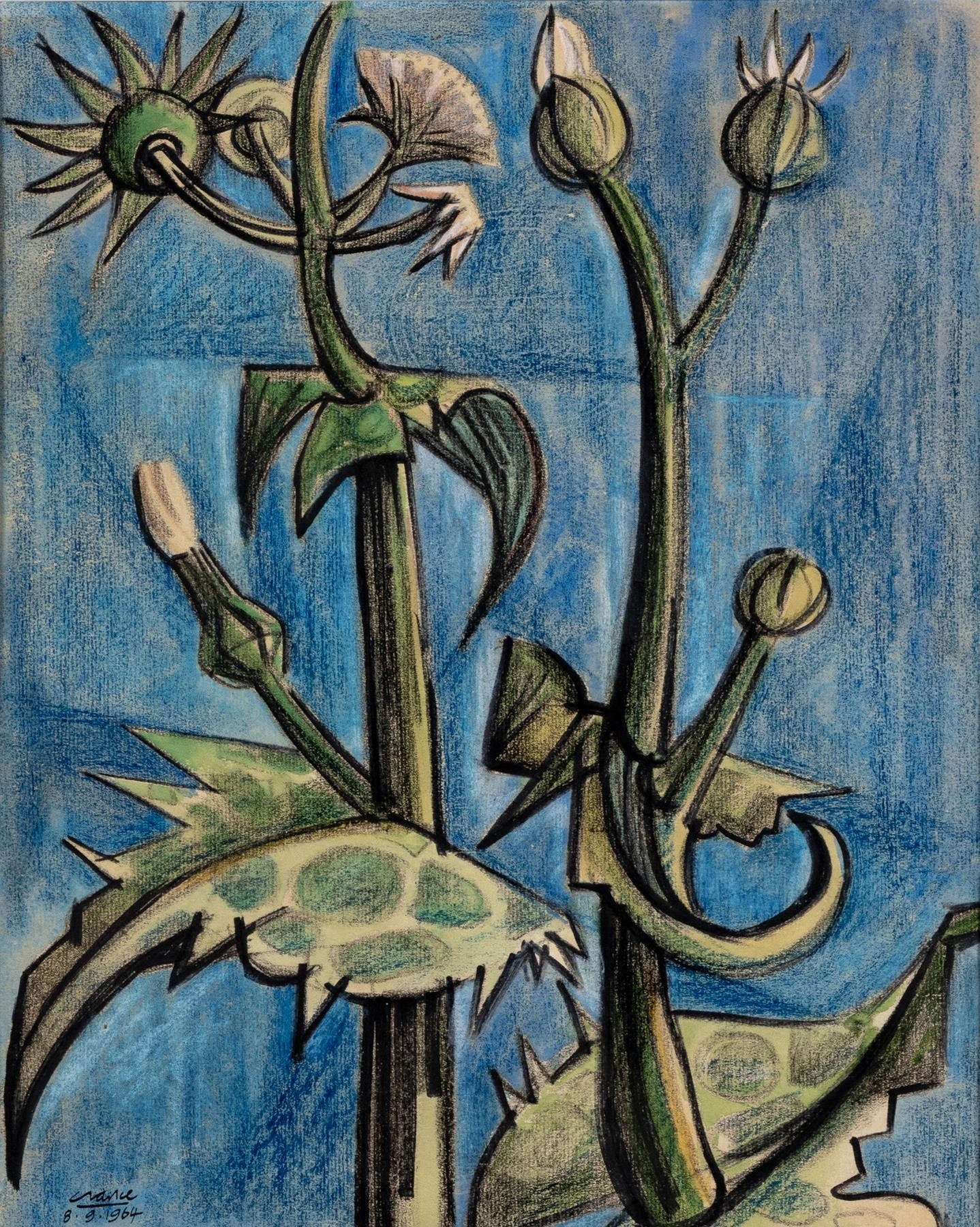 Peter Clarke | 2014) THISTLE STUDY (1964) | MutualArt