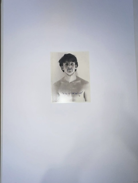 Jan Fabre | Ilad of the bicart (2007) | MutualArt