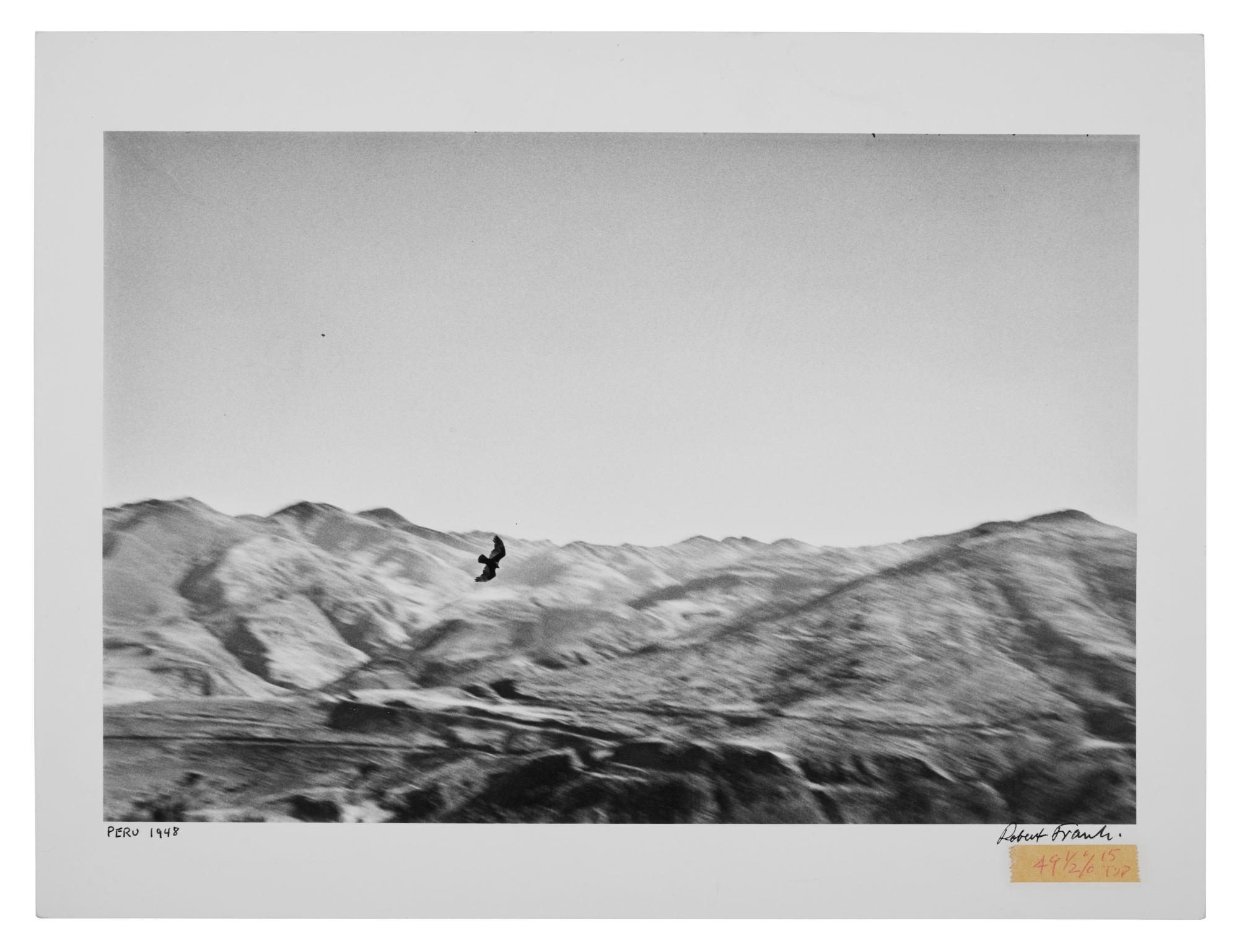 Robert Frank | 'Peru' (Bird) (1948) | MutualArt