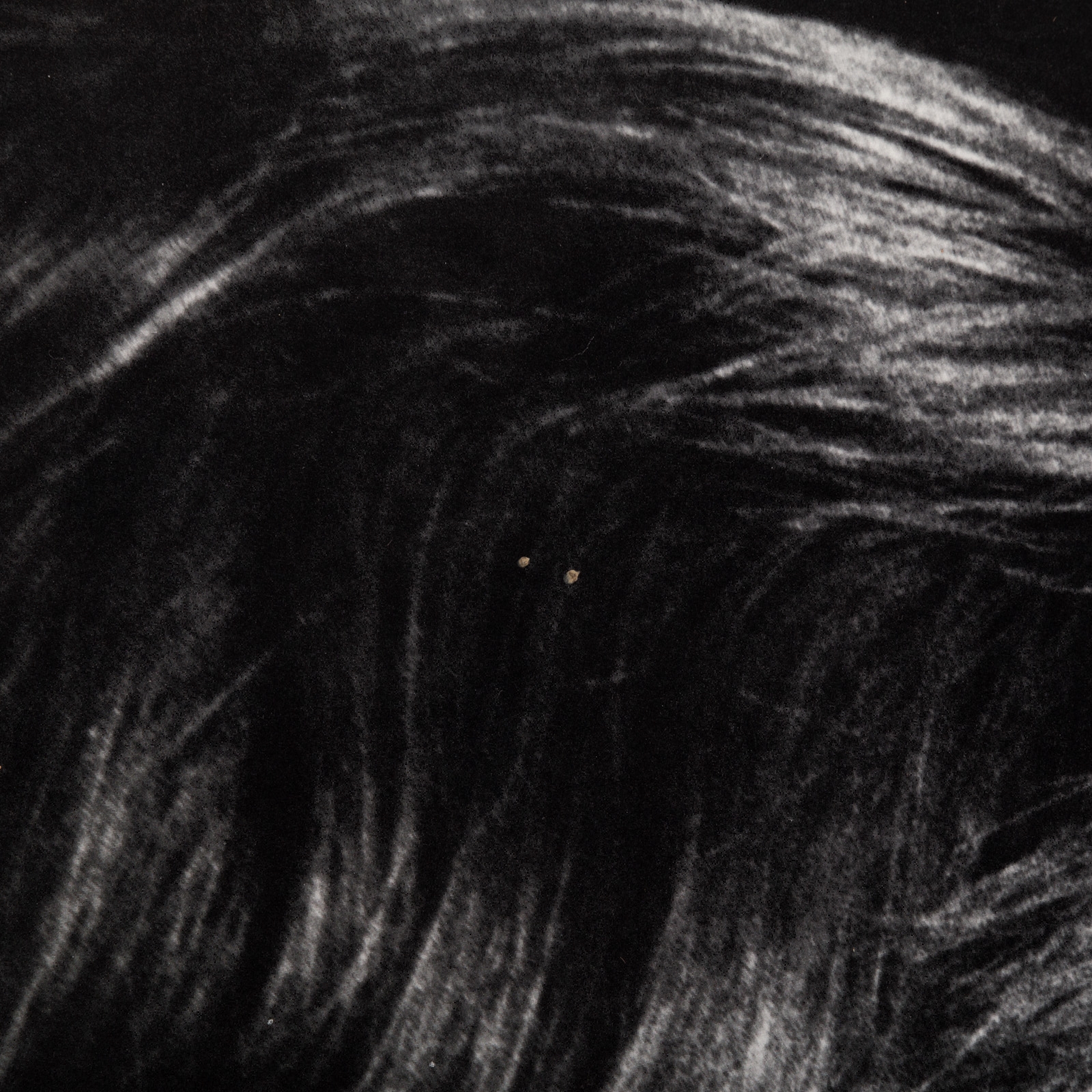 Astrid Kirchherr | George Harrison, Hamburg (1962) | MutualArt