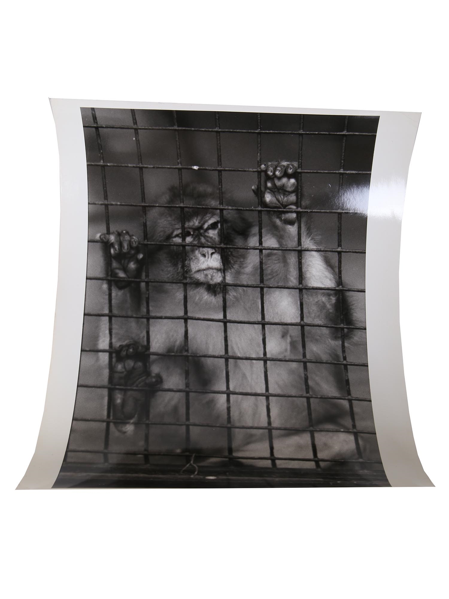 Alex Freeman | Alex Freeman Commercial Photographer (1970) | MutualArt