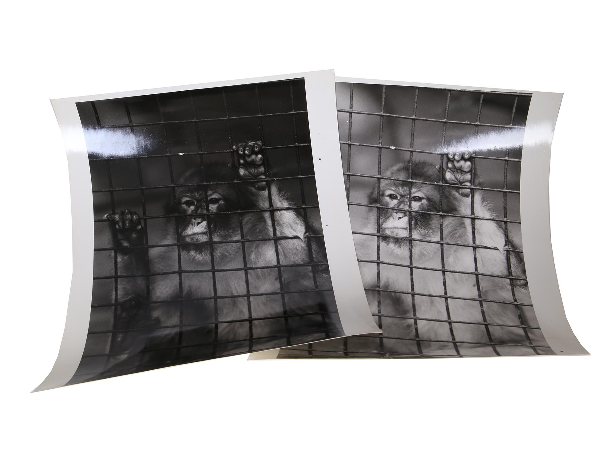 Alex Freeman | Alex Freeman Commercial Photographer (1970) | MutualArt