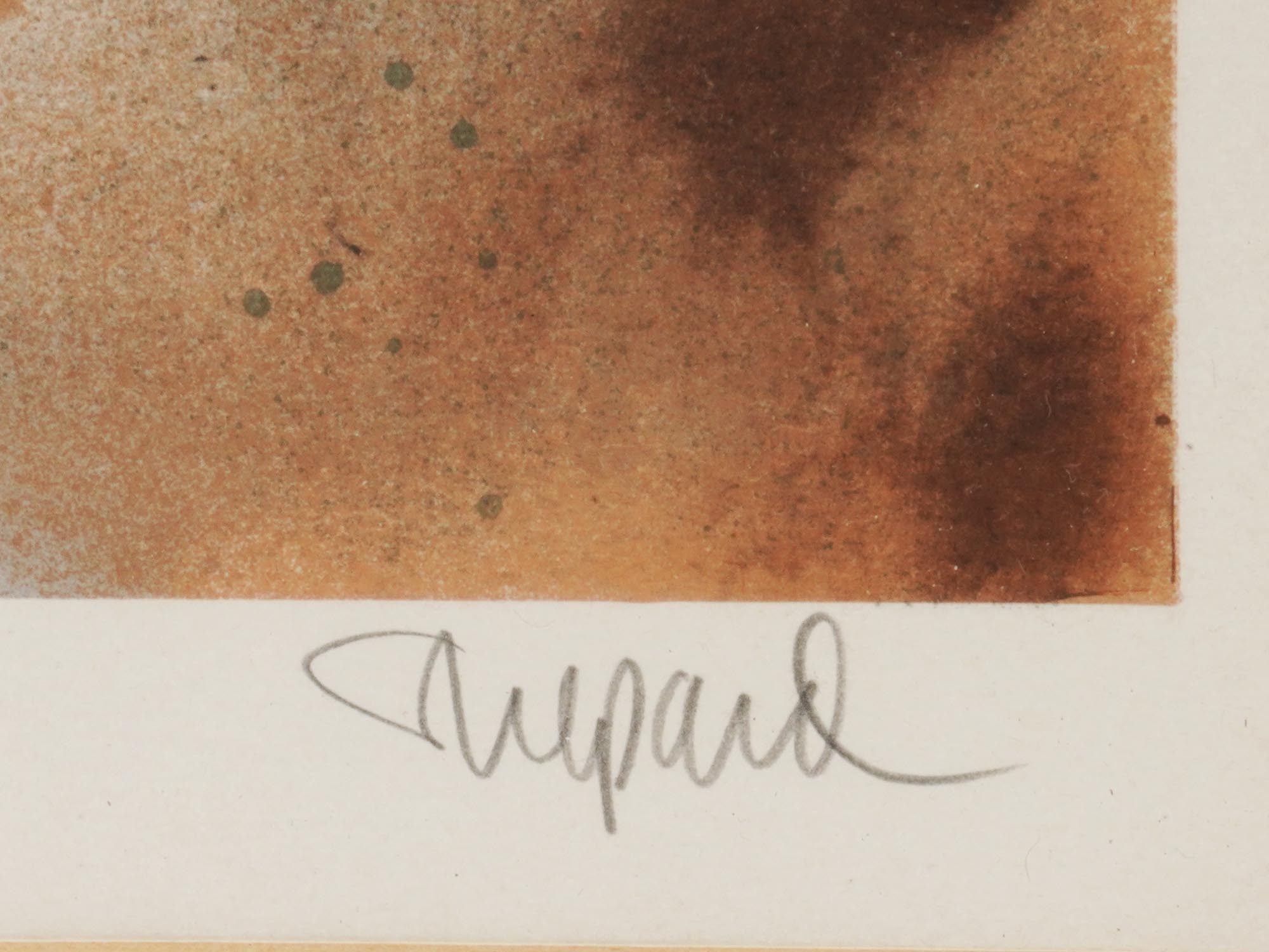 Richard Shepard | Richard Shepard | MutualArt