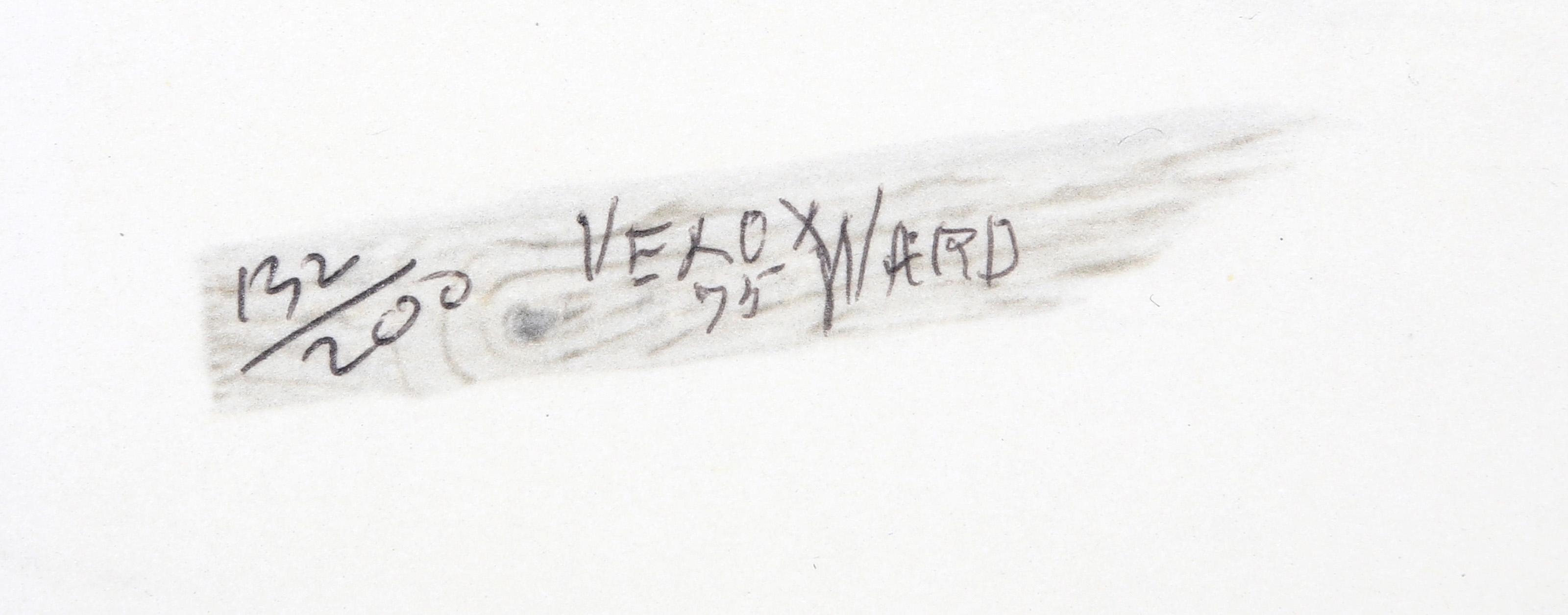 Velox Ward | THE HOME MY DADDY BUILT FROM THE PORTFOLIO: AMERICA: THE ...