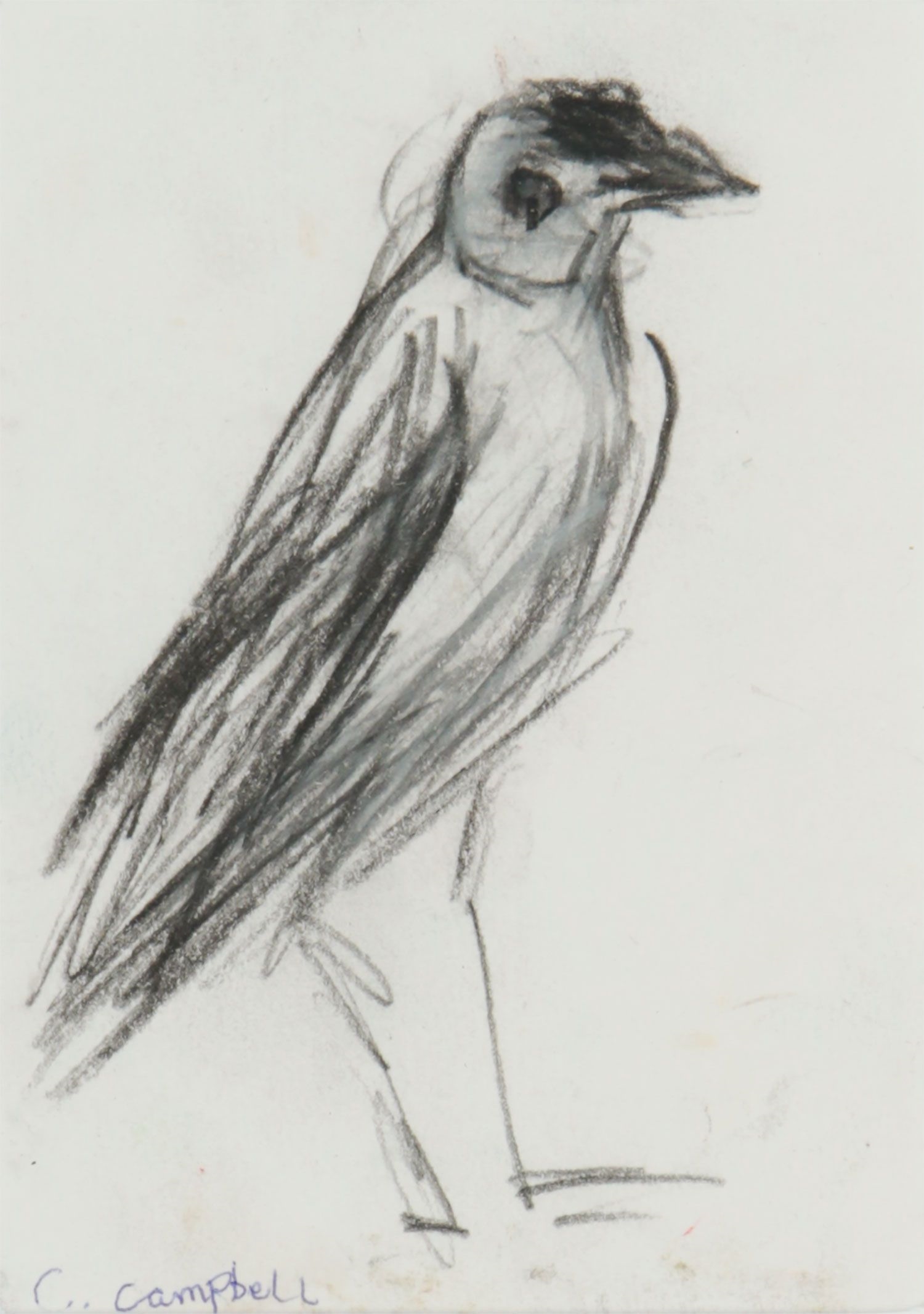 Con Campbell | LITTLE BIRD | MutualArt