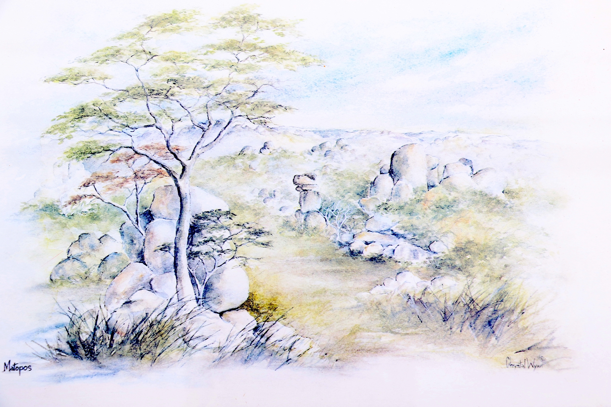 Chrystal Wynn | LANDSCAPES | MutualArt