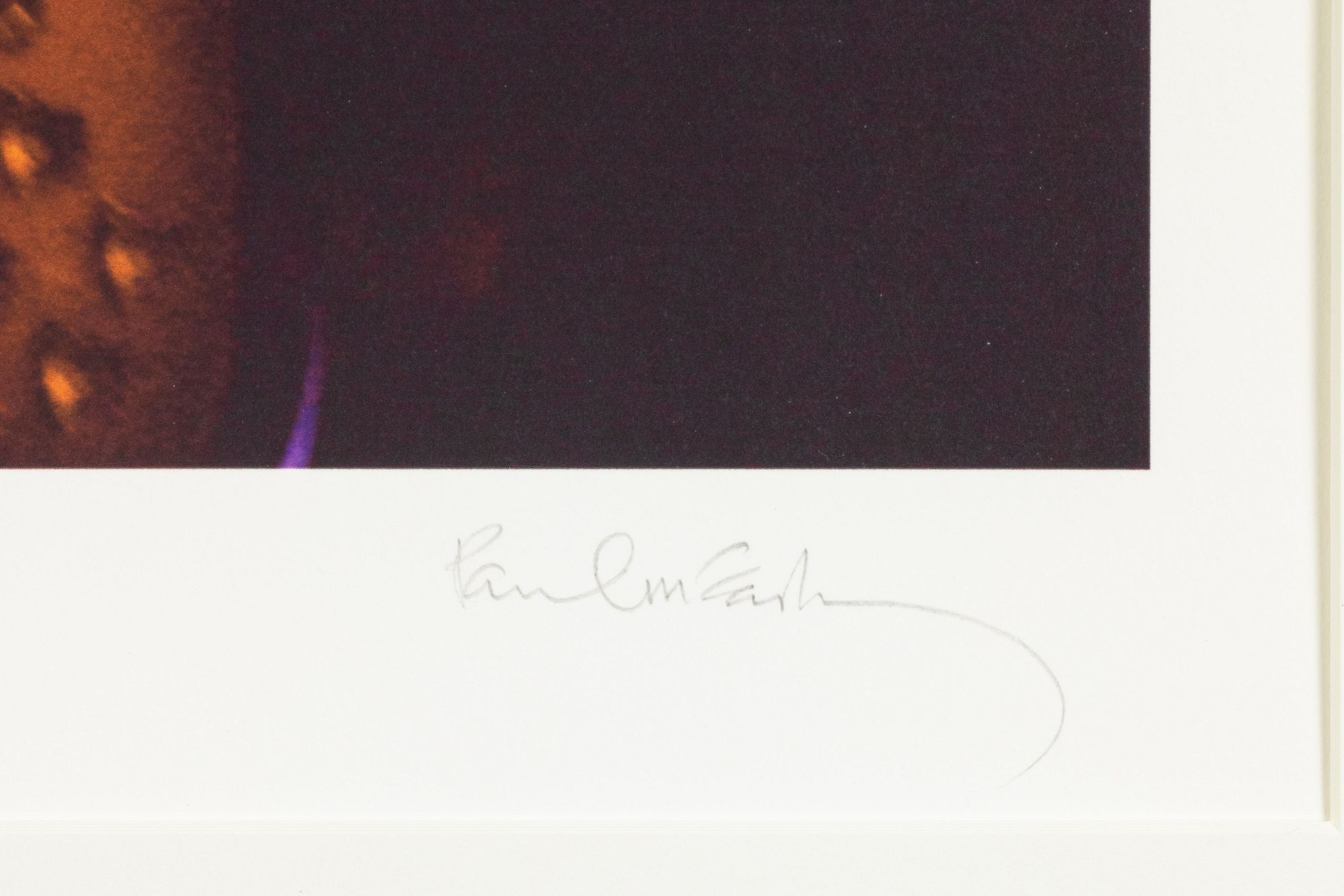 Bill Bernstein | Paul McCartney Performing | MutualArt