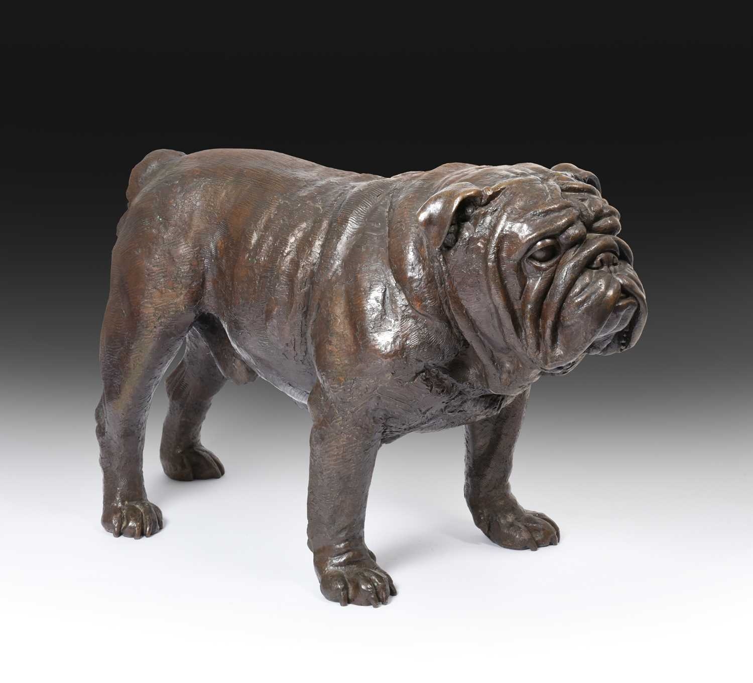 Sally Arnup | Bulldog | MutualArt