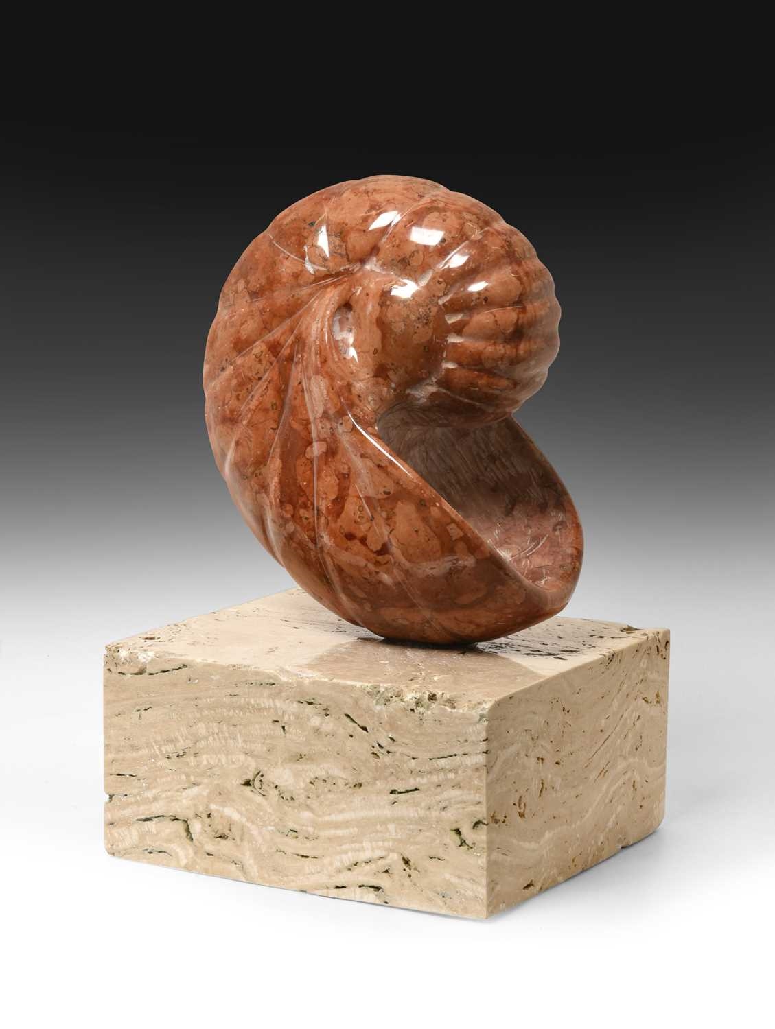 Darren Yeadon | Red Nautilus | MutualArt