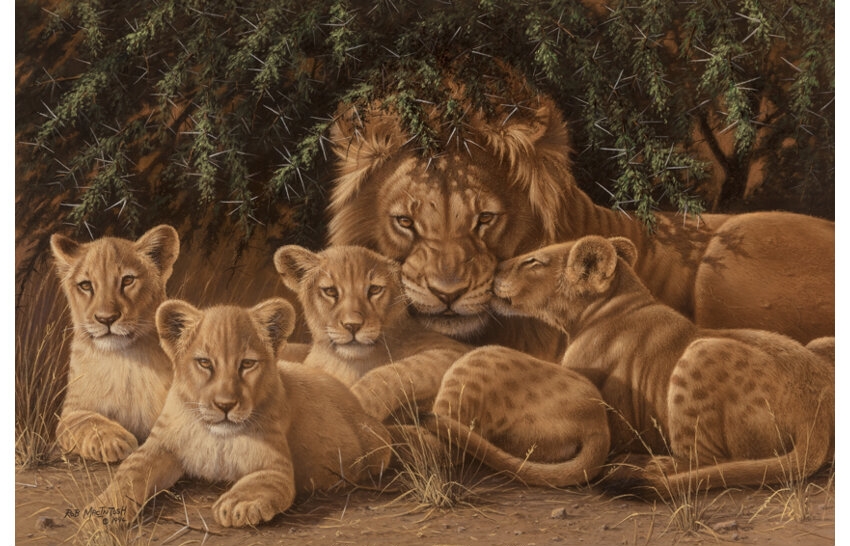 Robert Macintosh | Monarchs Pride | MutualArt