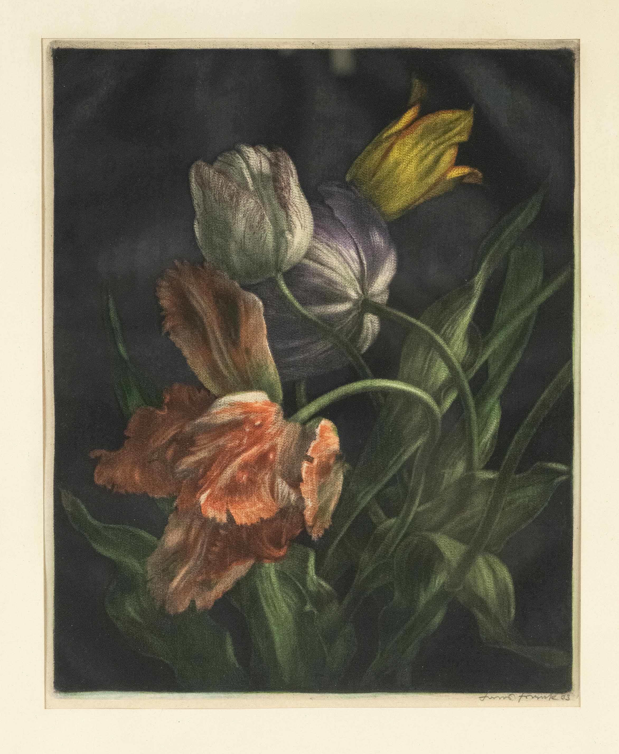 Hans Frank | Tulips | MutualArt