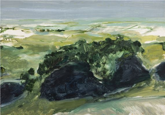 Barrie Cooke | Stones Lake Study (1979) | MutualArt