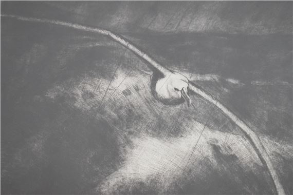 Katrina van Grouw | 2 Artworks at Auction | MutualArt