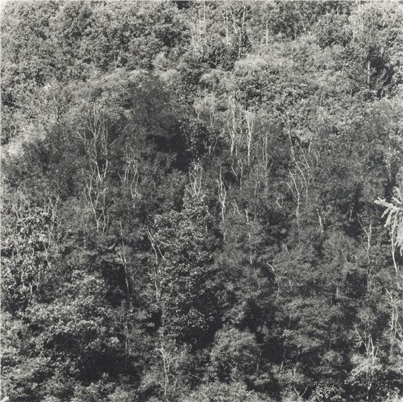 Byung Hun Min | 무제 (2002) | MutualArt