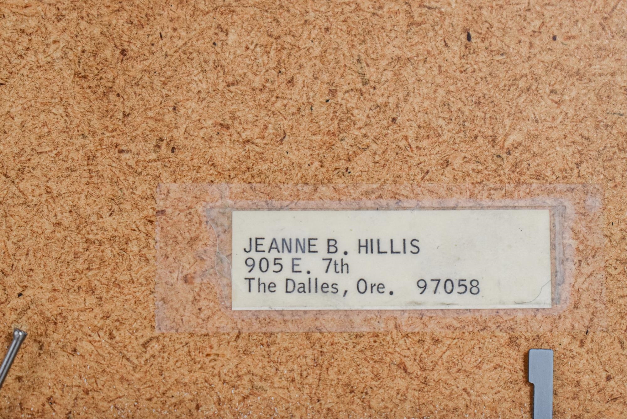 Jeanne Barkee Hillis | THE GORGE PAINTING | MutualArt