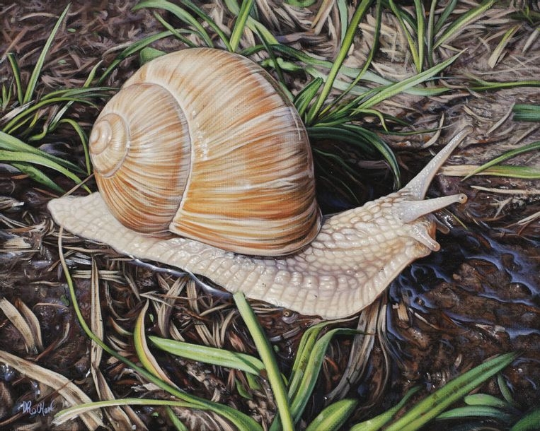 Christophe Drochon | Nomad | MutualArt