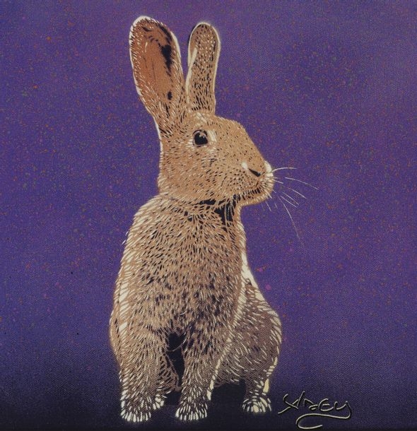 AdeY | The little rabbit | MutualArt