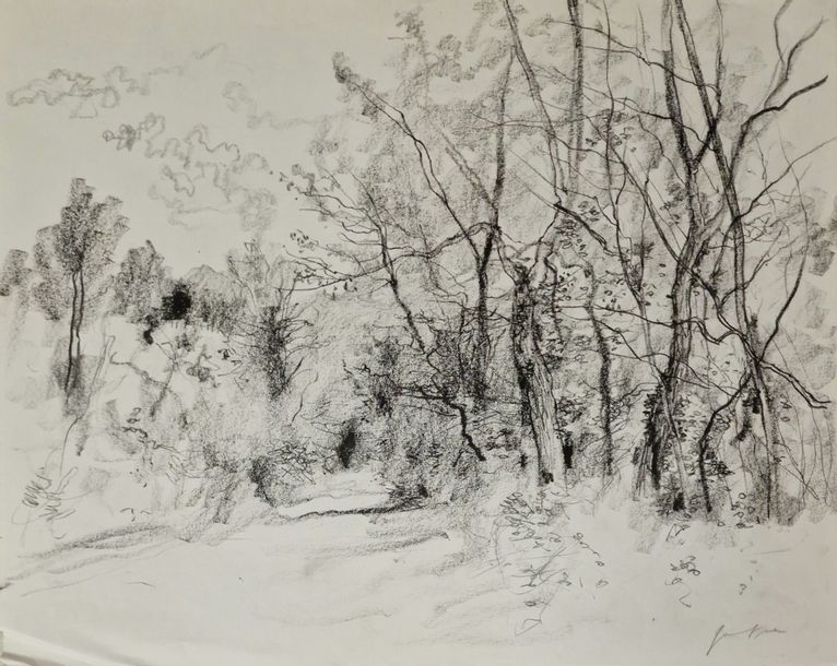 Bernard Gantner | Landscapes and marine | MutualArt