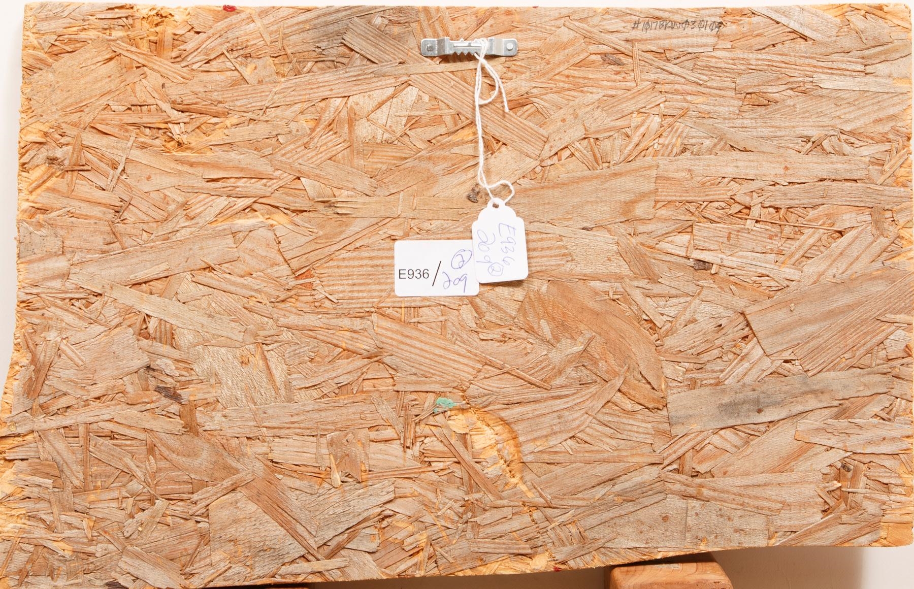 Richard Burnside | Dog and Turtle | MutualArt