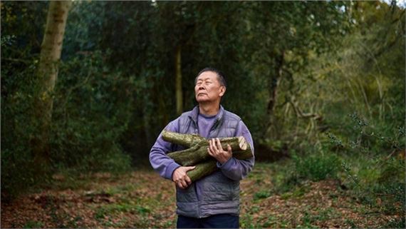 Jamie Lau: 8 Stories | Exhibitions | MutualArt