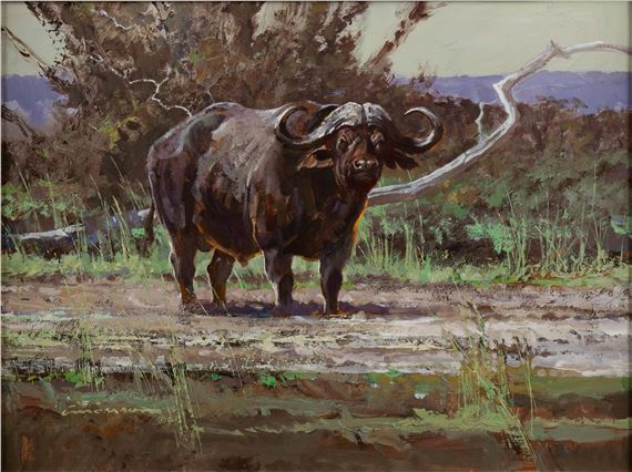 Dennis P. Anderson | Water Buffalo, 1994 (1994) | MutualArt