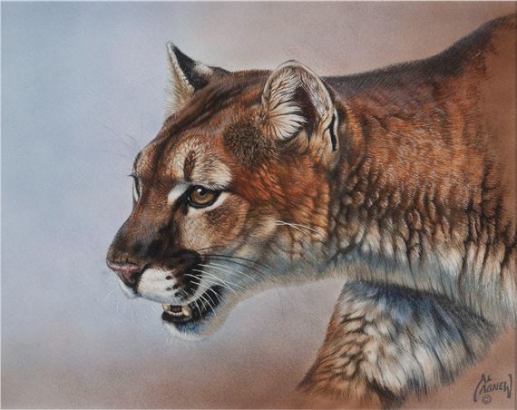 Al Agnew | b. 1952 (1952) | MutualArt