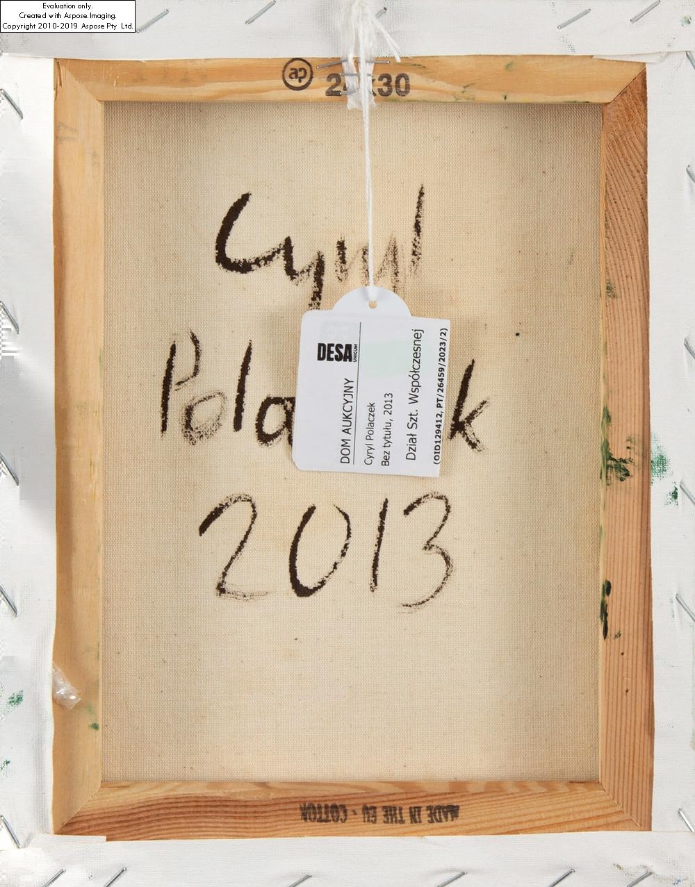 Cyryl Polaczek | Untitled (2013) | MutualArt