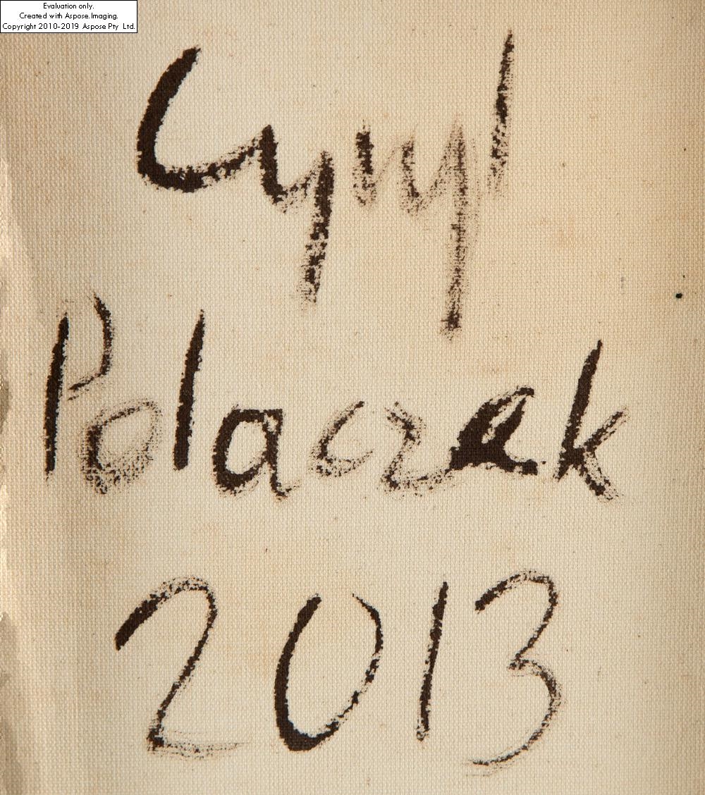 Cyryl Polaczek | Untitled (2013) | MutualArt