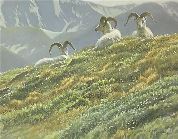 Robert Bateman | Mountain Meadow Dall Sheep | MutualArt