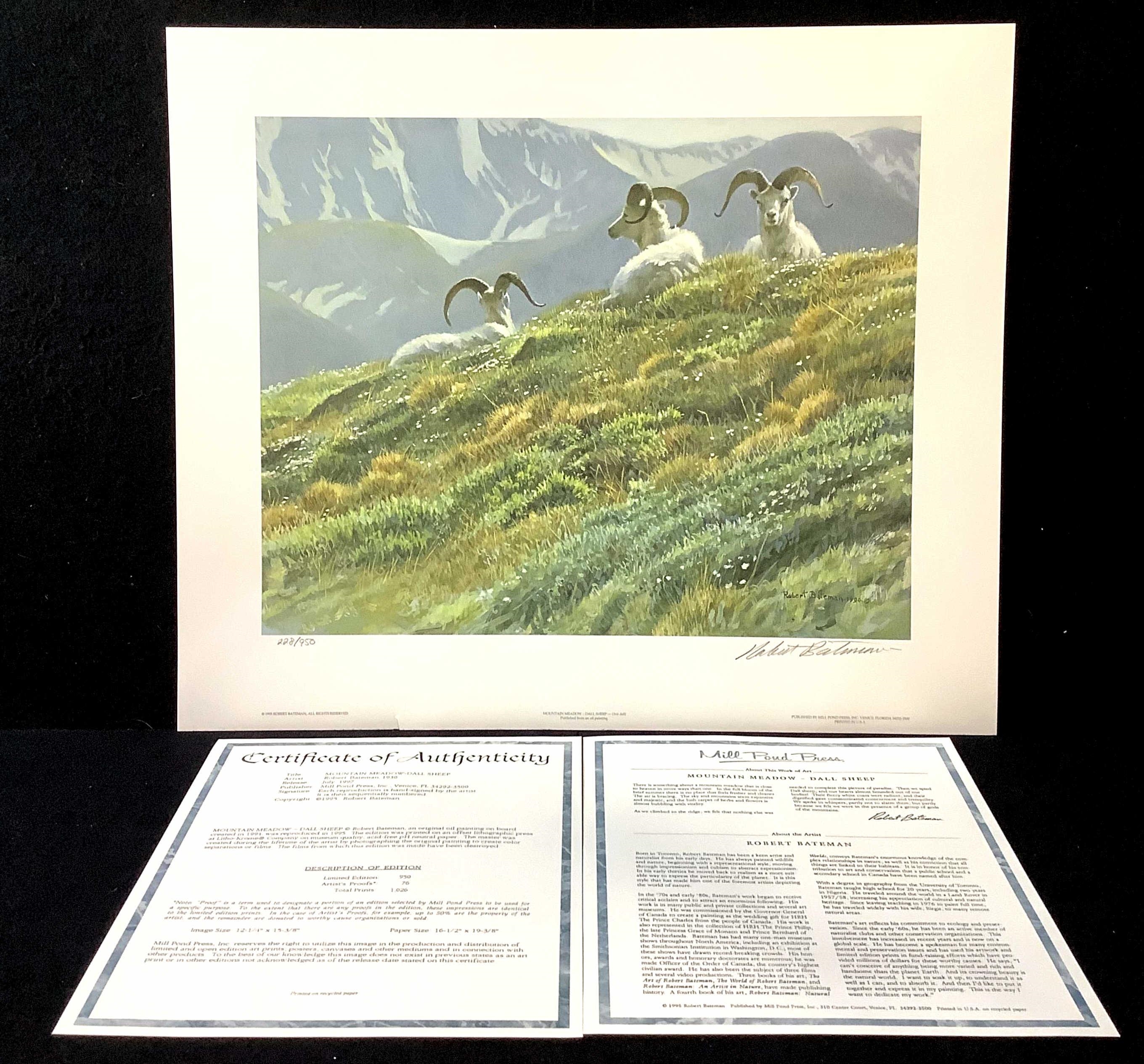 Robert Bateman | Mountain Meadow Dall Sheep | MutualArt