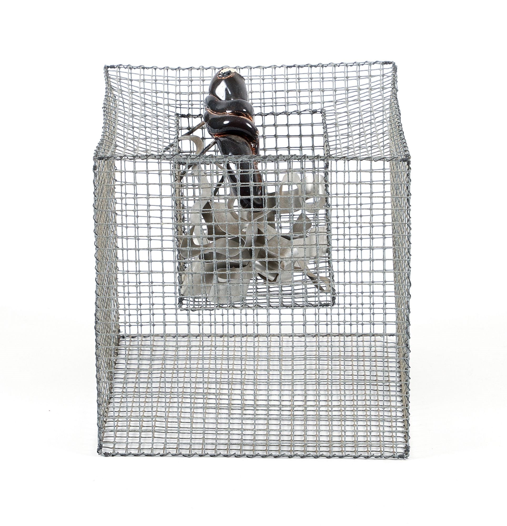 Jerry Caplan | Cricket in a Cage | MutualArt
