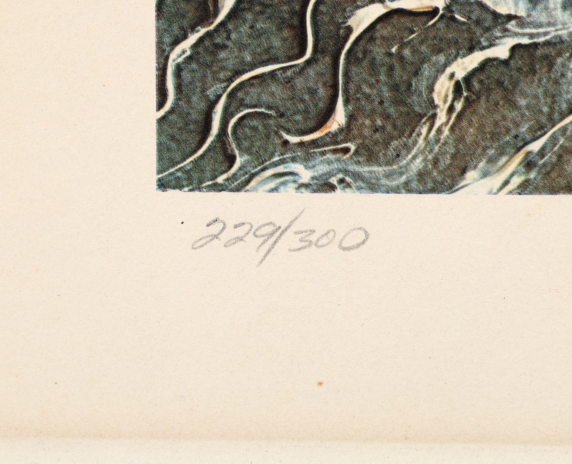 Salvador Dalí | Aliyah: The Rebirth of Israel (1968) | MutualArt