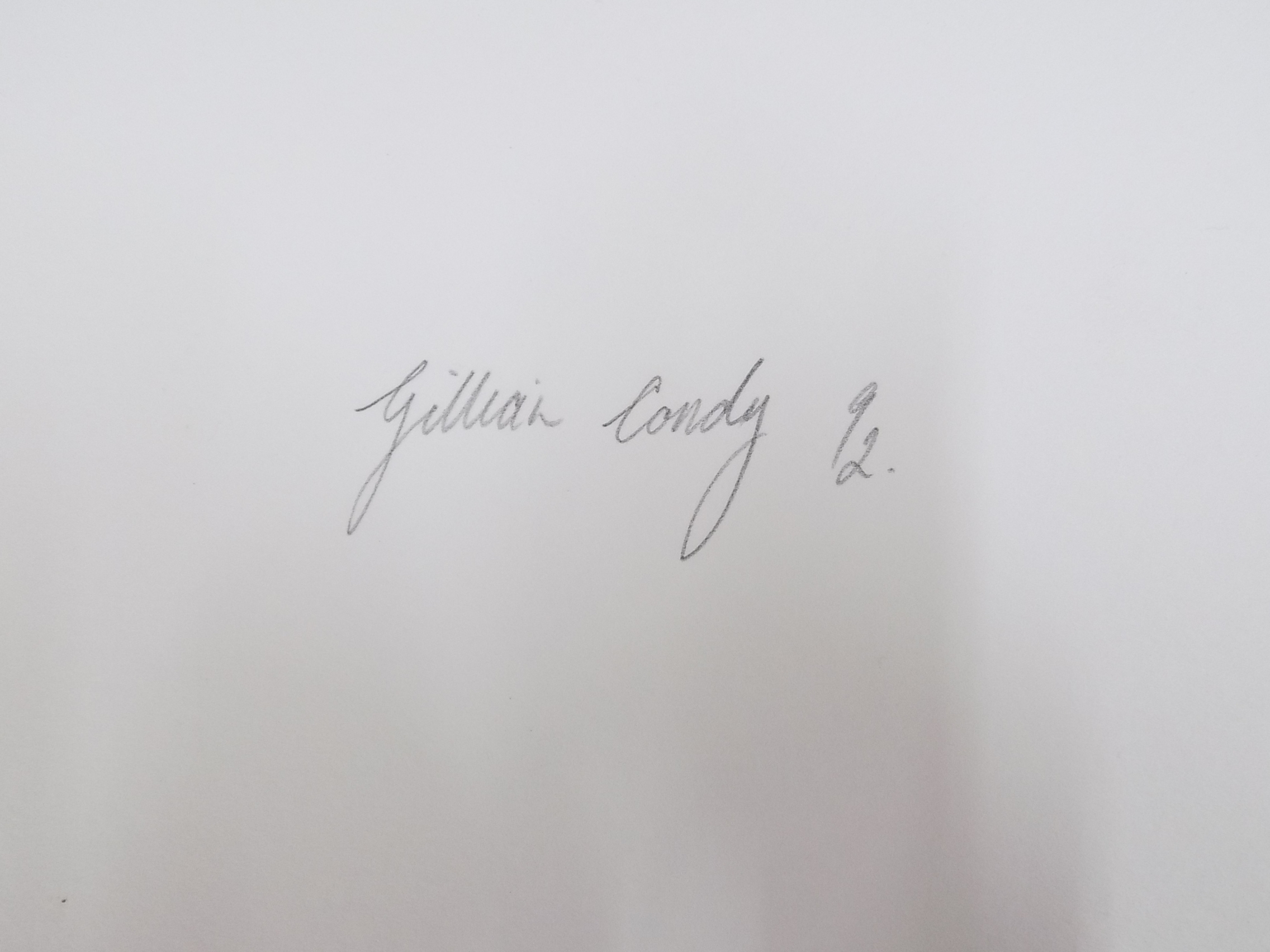 Gillian Condy | Erythrina (1952) | MutualArt