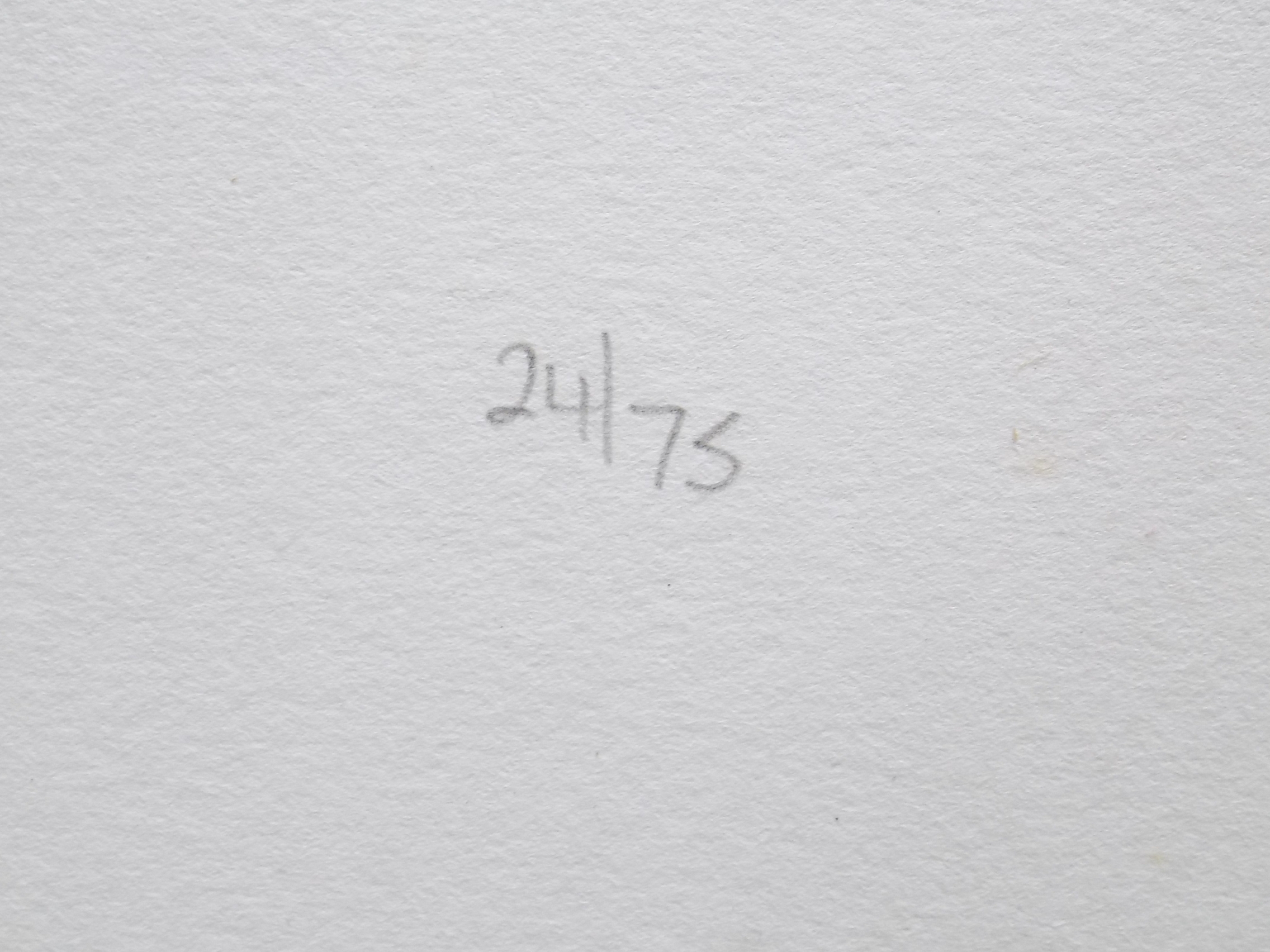 Gillian Condy | Erythrina (1952) | MutualArt