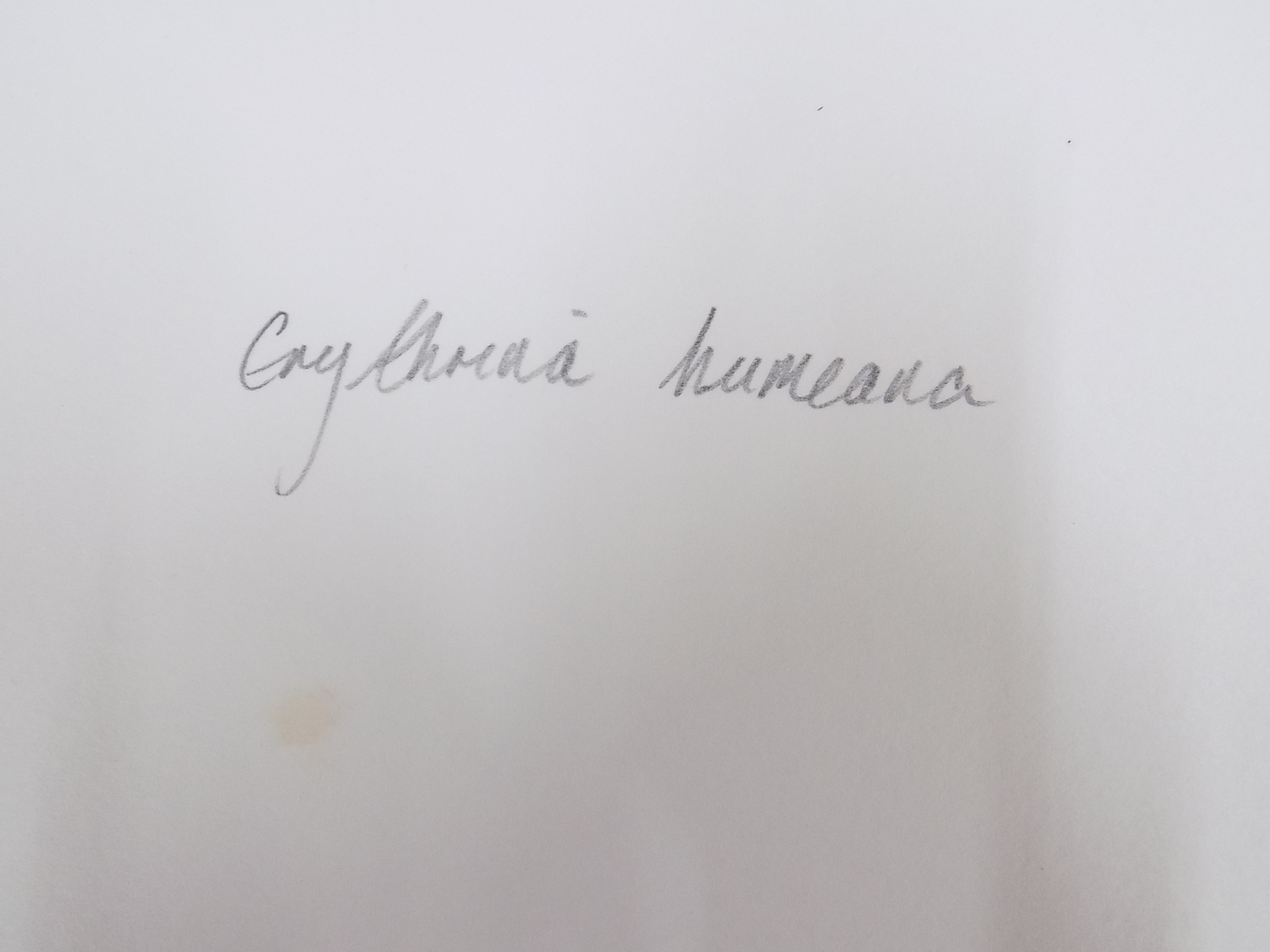 Gillian Condy | Erythrina (1952) | MutualArt