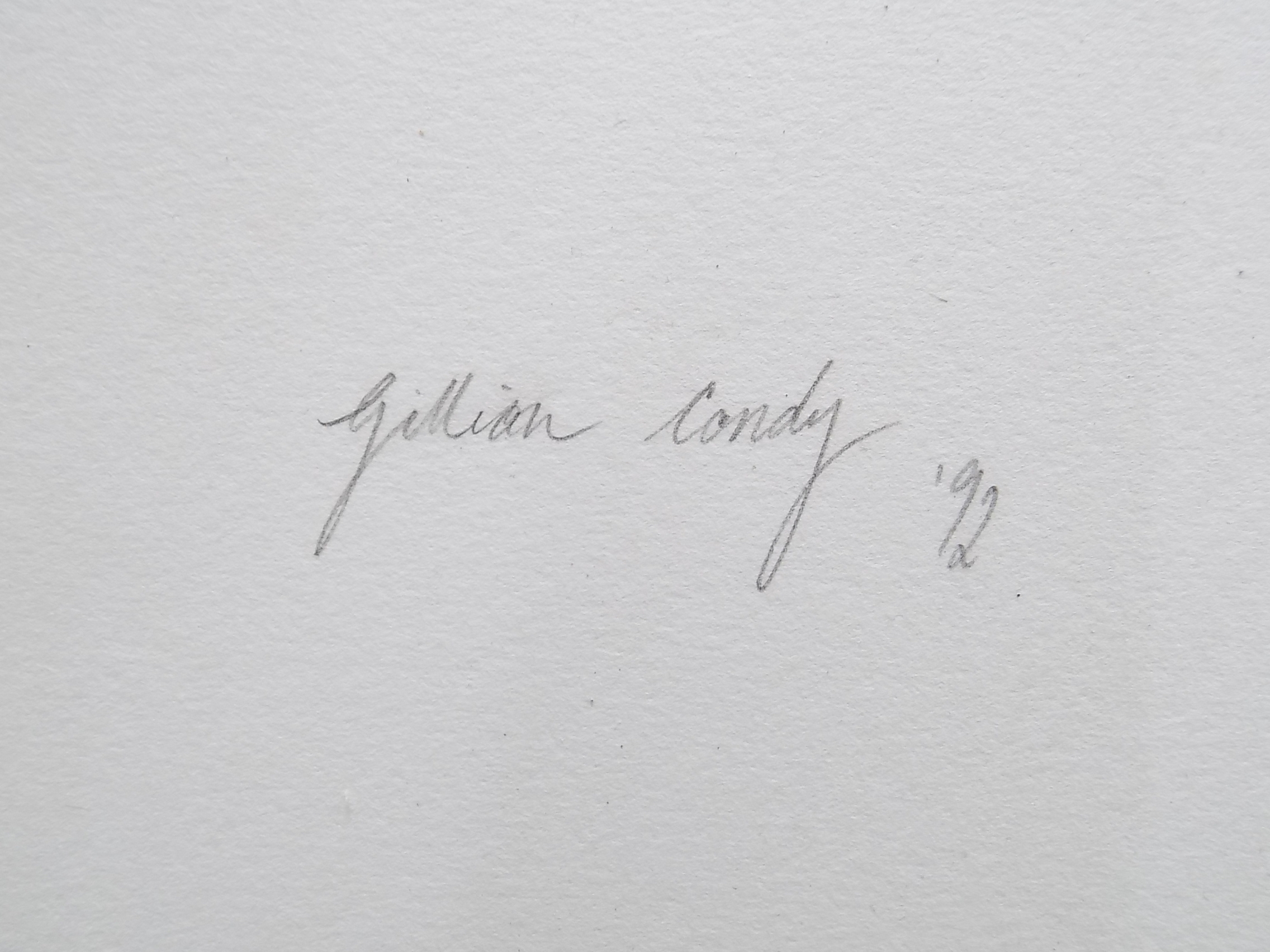 Gillian Condy | Erythrina (1952) | MutualArt