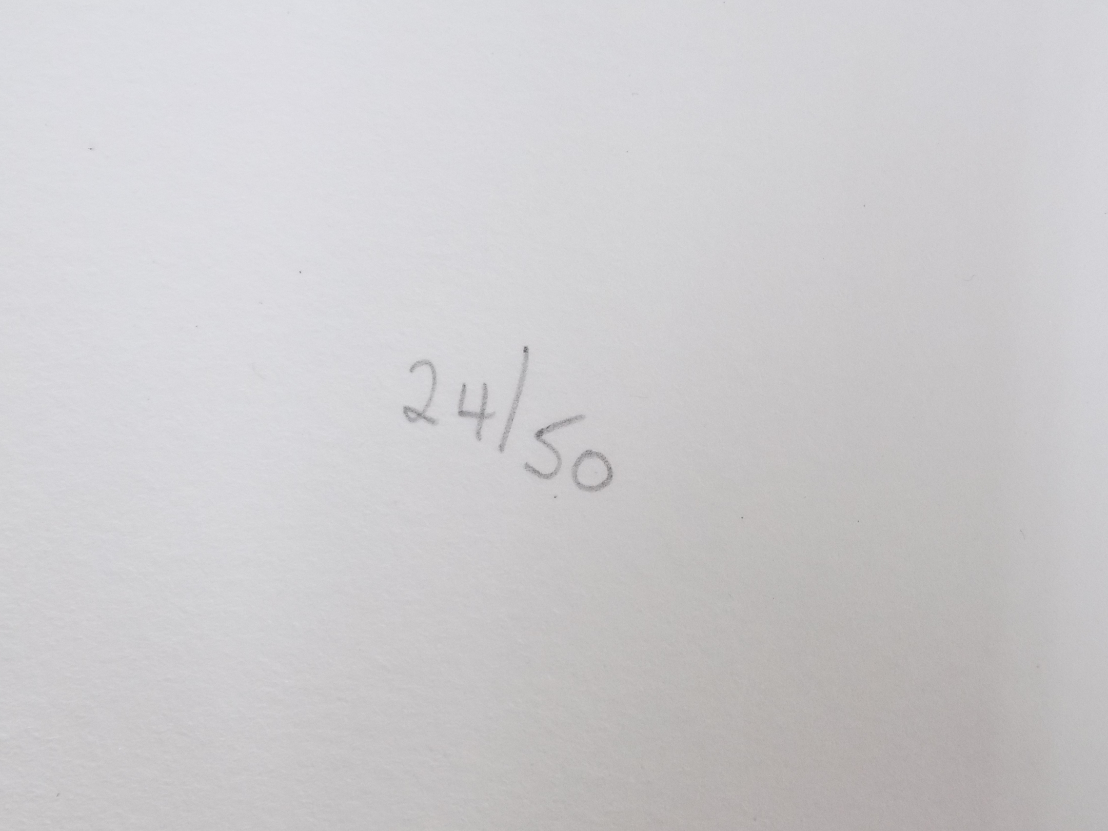 Gillian Condy | Erythrina (1952) | MutualArt