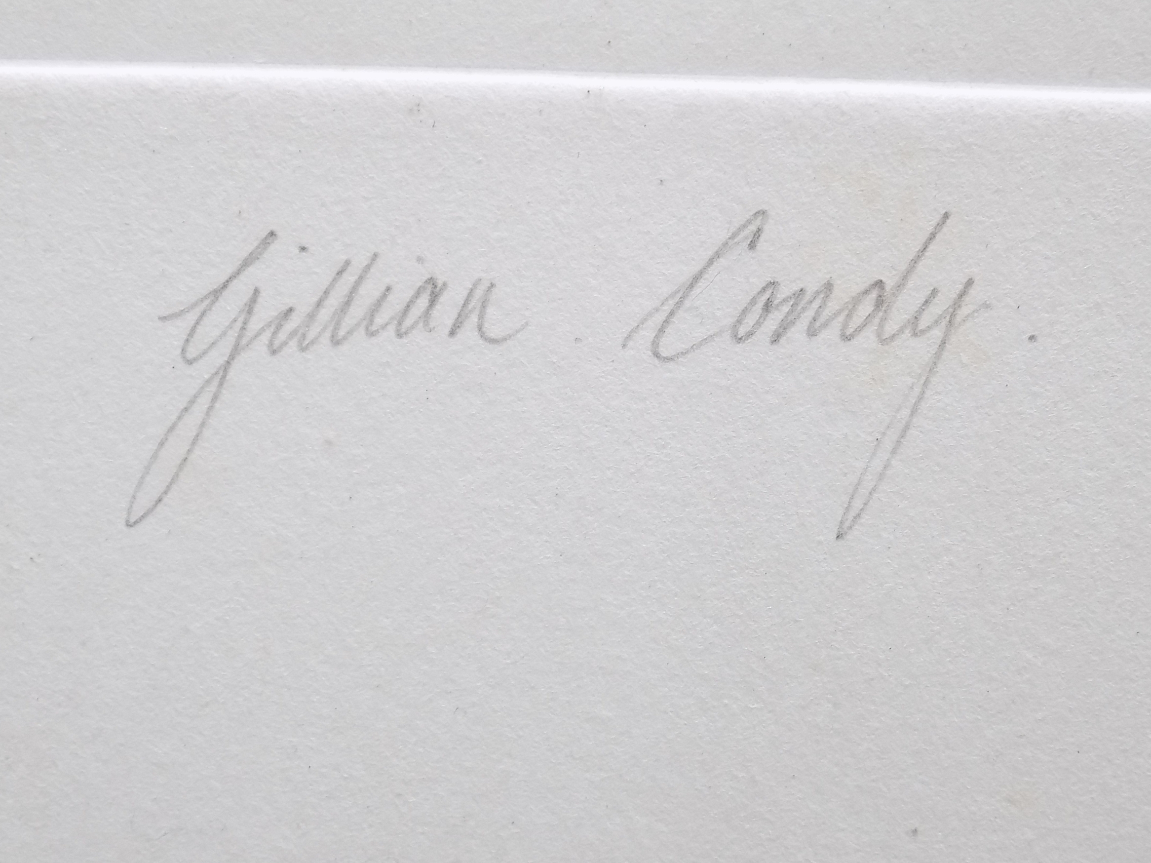 Gillian Condy | Pelargonium hystrix (1952) | MutualArt