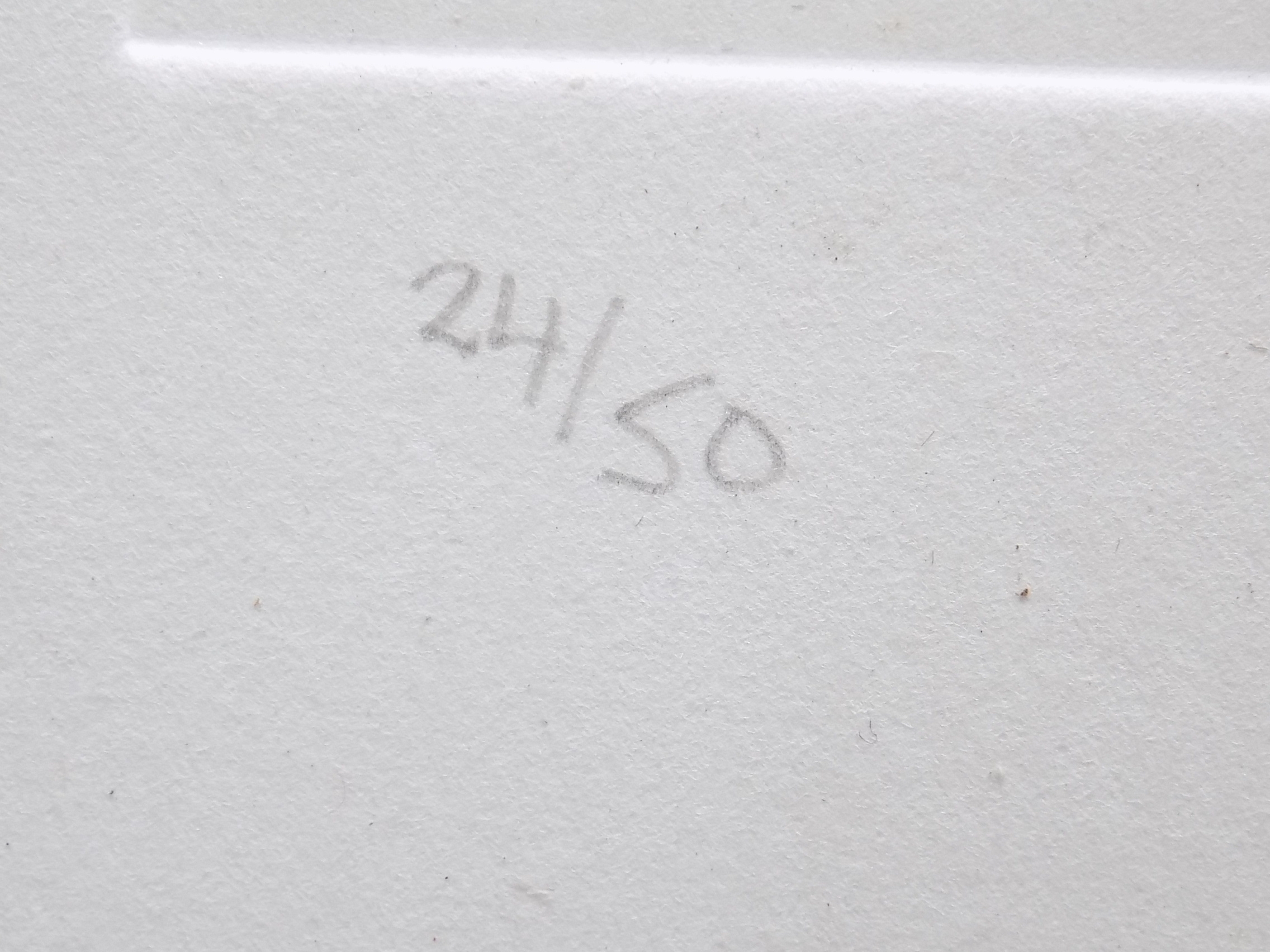 Gillian Condy | Pelargonium hystrix (1952) | MutualArt