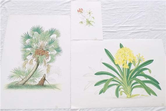 Elsa Pooley | 2 Artworks at Auction | MutualArt